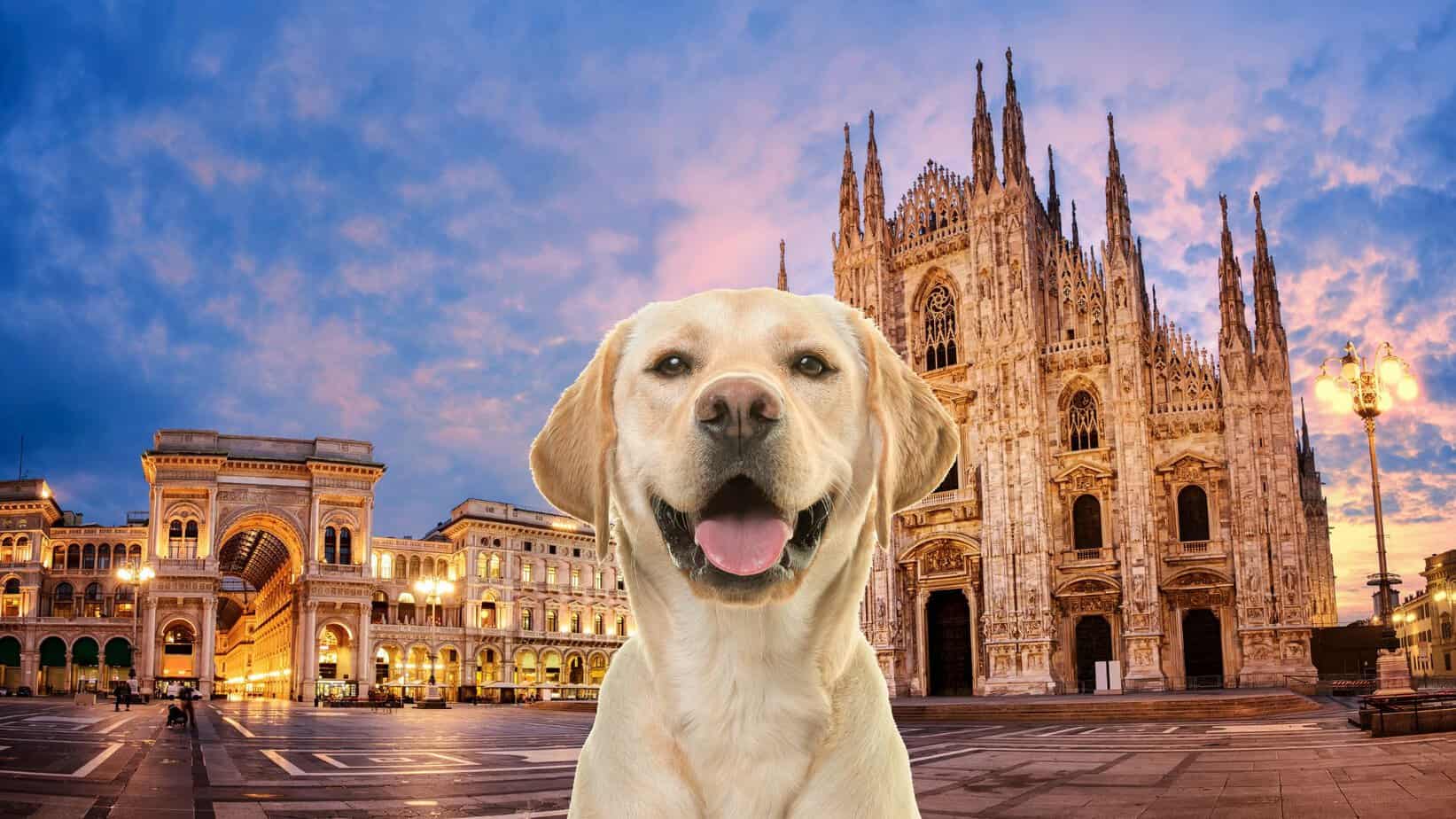 Milano è la città più pet-friendly d'Italia